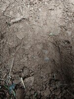 Gardiner explosive bullets | Friendly Metal Detecting Forum